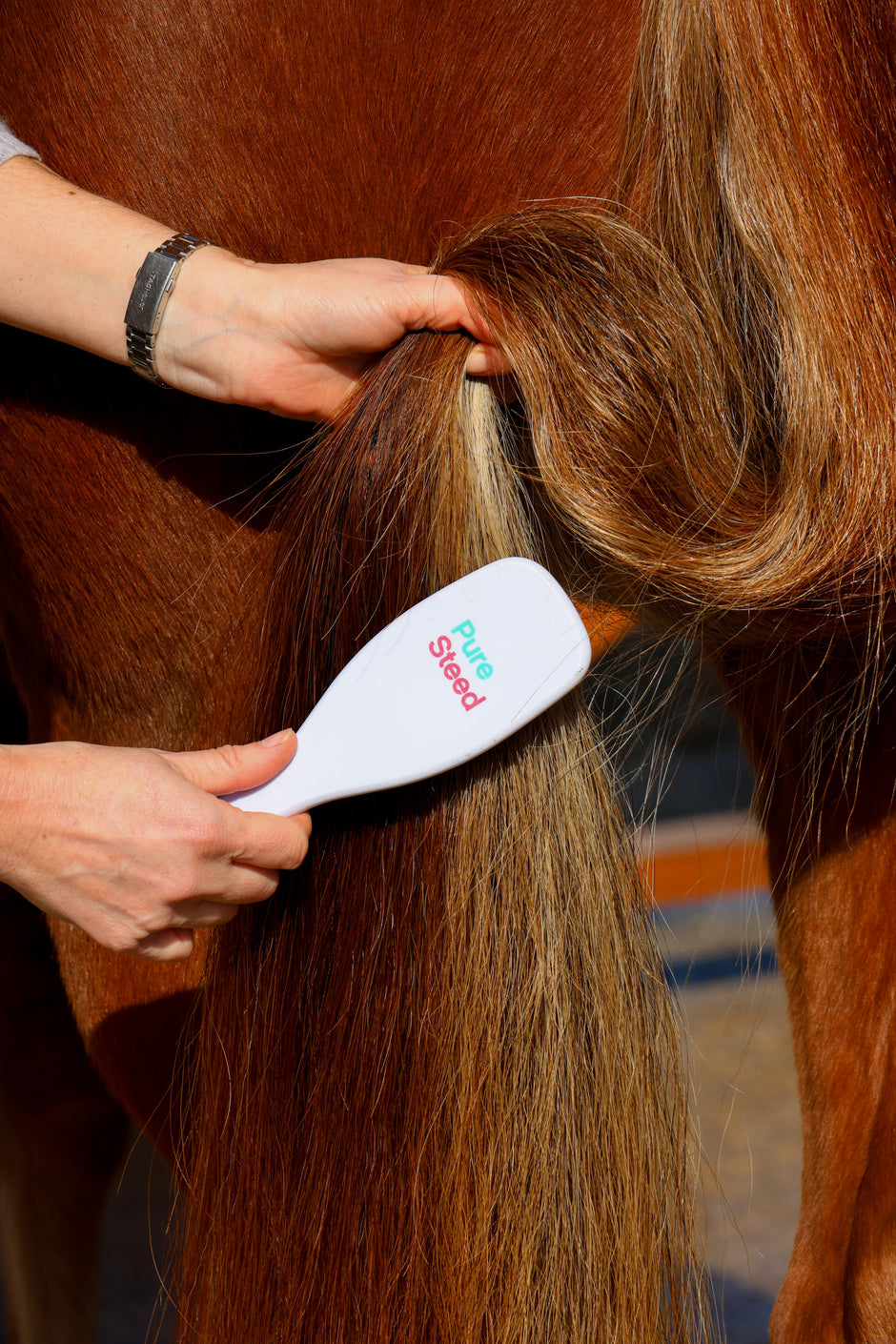 Pure Steed | World first microbiome friendly horse grooming