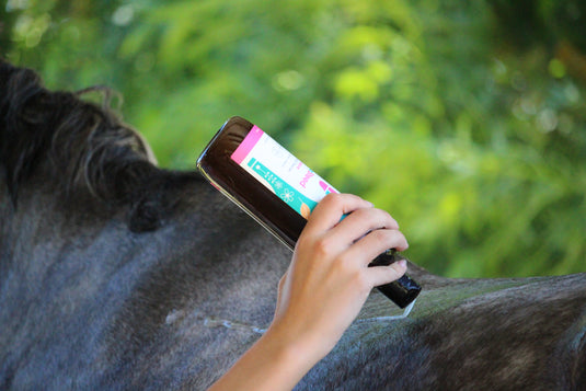 Pure Steed | World first microbiome friendly horse grooming