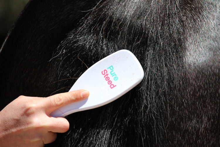 Pure Steed | World first microbiome friendly horse grooming