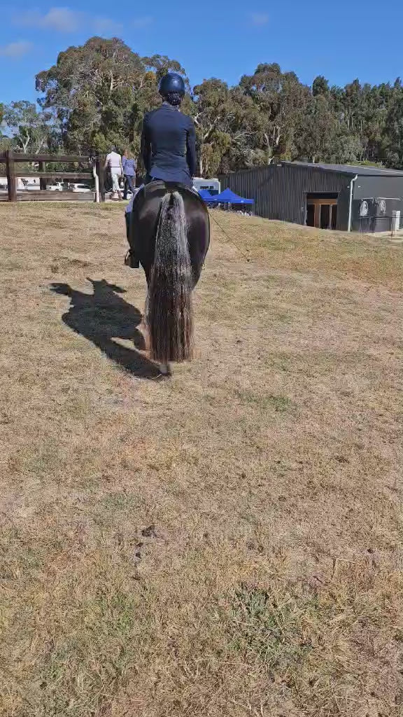 Pure Steed Fairy Tails four-in-one for your horse's best mane and tail.